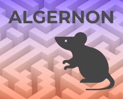 algernon - Codesandbox