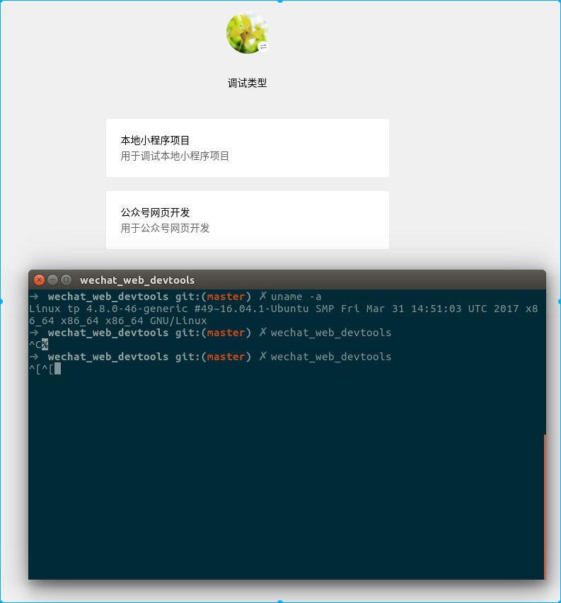 yuan1994/wechat_web_devtools - Packagist